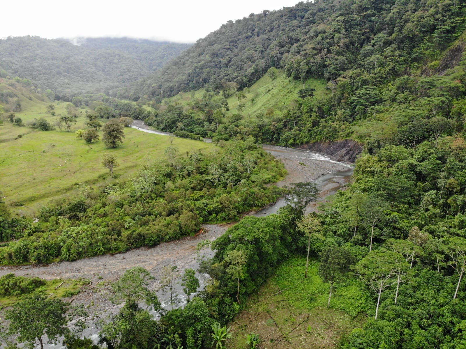 Apoyamos la constitución de la primera Reserva Natural de La Sociedad ...
